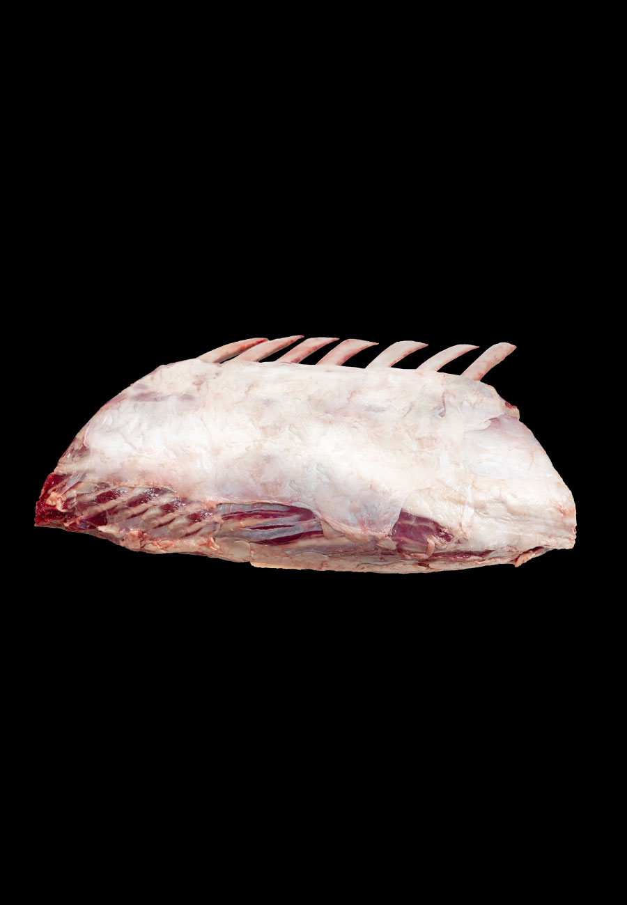 Tomahawk | FREASA