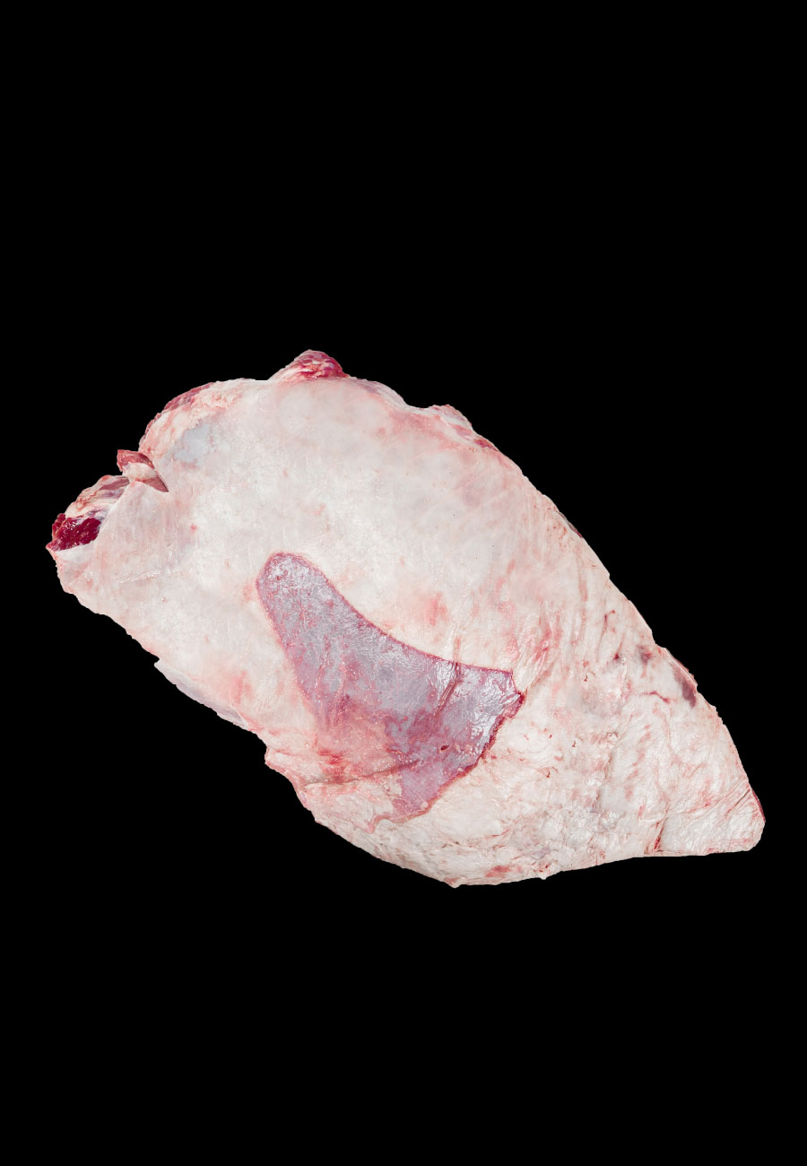 Shoulder Clod | FREASA