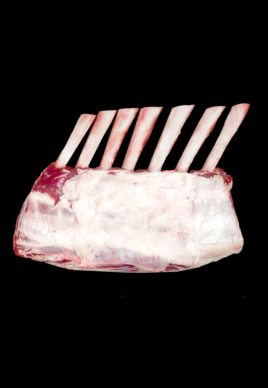 Tomahawk | FREASA
